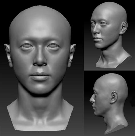 3d모델링을 이용한 두상 제작 네이버 블로그