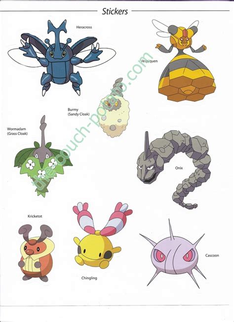 Cascoon Evolution Chart