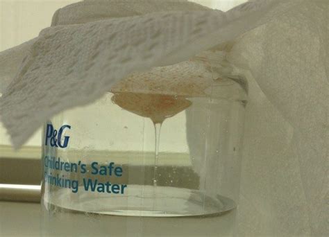 Earth Day Supporting Clean Drinking Water For All Alpha Mom