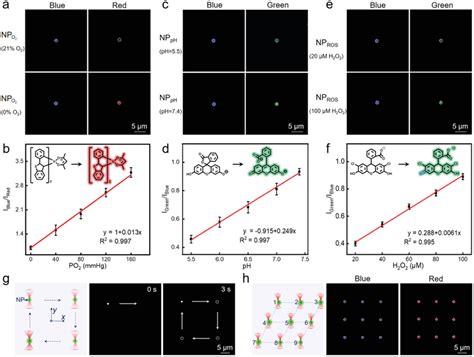 Quantitative And Multipoint Detection With Ocvim In Vitro Af The