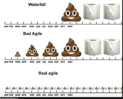 WeAreFullyAgile ProgrammerHumor Io