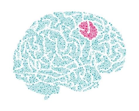 Science 靶向耐药神经胶质瘤的药物设计 知乎