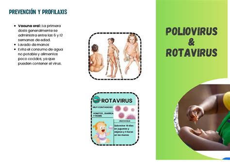 Prevención Y Profilaxis De Bacterias Vacunas Y Medidas 2025 Studocu