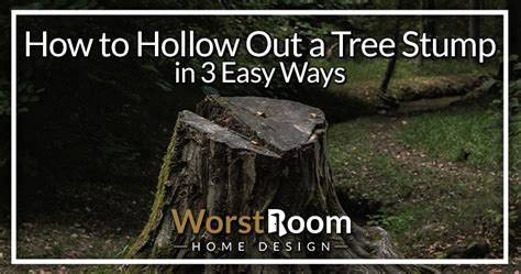 How To Hollow Out A Tree Stump In Easy Ways Worst Room