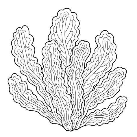 22 Dibujos De Algas Para Colorear Diseños Imprimibles Gratis Y En Pdf