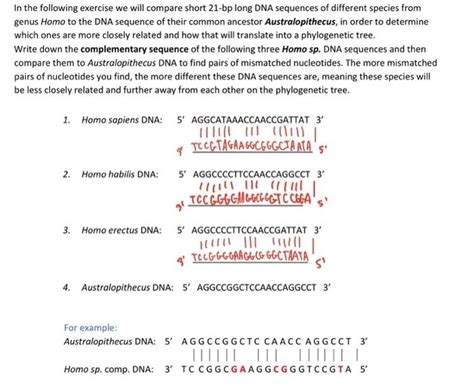 Solved Species A Was Recently Discovered And Its Dna