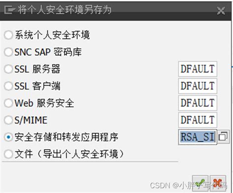 sap rsa加解密及验签 sap rsa加密 csdn博客