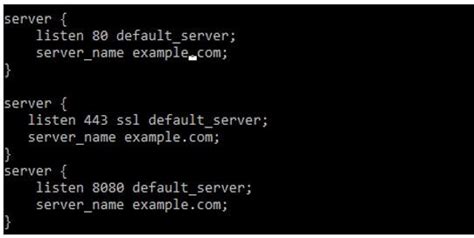 nginx default server how to setup nginx default server with parameter