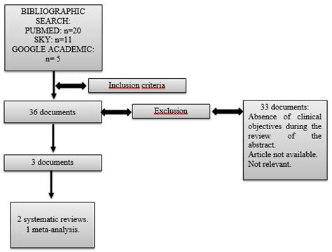 Flowchart Of The Bibliographic Search Download Scientific Diagram