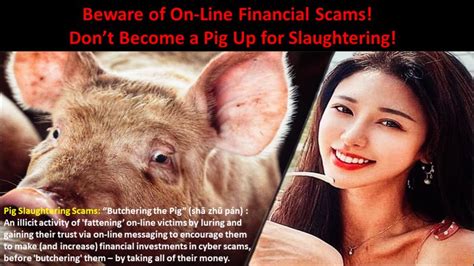 Igor Van Gemert Posted On Linkedin