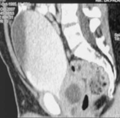 Internet Scientific Publications