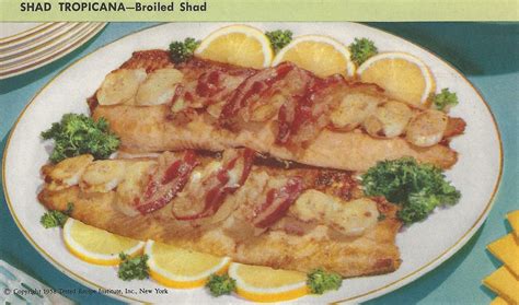 Vintage Recipe Cards Where Food Photography Comes To Die Page 39