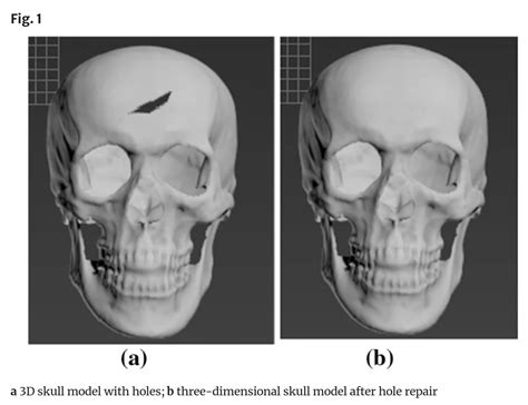 Hispaniolan Craniometry By Emil O W Kirkegaard