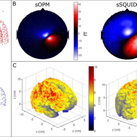 Pseudo Continuous Asl Difference Perfusion Images Δm At 7 T Top And Download Scientific