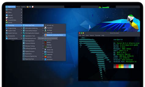 Kali Vs Parrot Which Distro Is Best For Pentesting