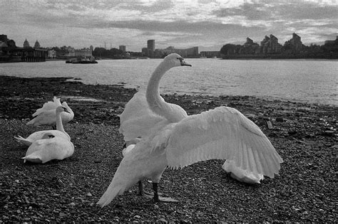 How Does Shutter Speed Affect My Photography Photography Musings