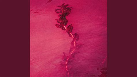 Furious Violet Youtube