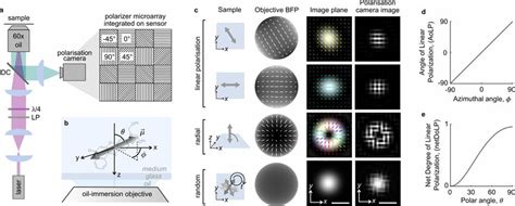 Single Molecule Imaging Using A Polarization Camera A Schematic Of Download Scientific