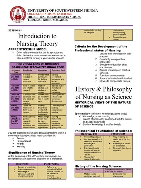 Theoretical Foundations In Nursing Pdf