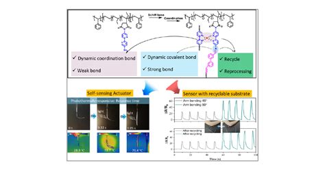 Dynamic Adaptive Cross Linked Elastomers With Highly Robust Recyclable