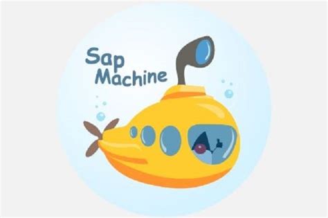 une distribution java sur base openjdk chez sap ygal tech