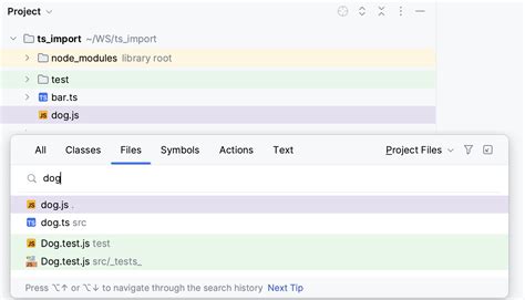 Project Tool Window Webstorm Documentation