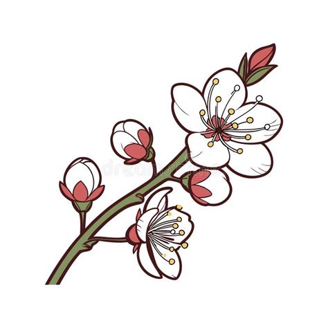 Exquisite Lima Bean Flower Detailed Artwork Stock Illustration Illustration Of Stamp Modern