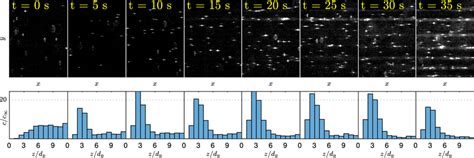 Temporal Evolution Of The Particle Concentration And Band Formation