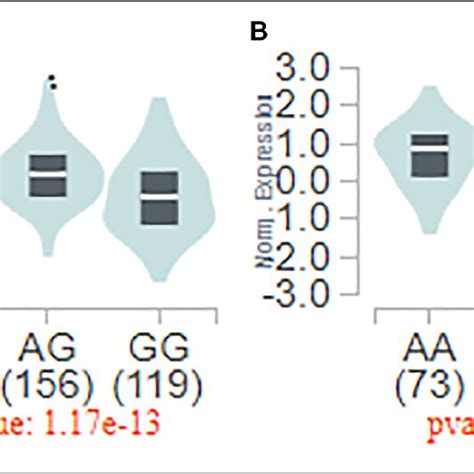 Graphs Showing Significant Influence Of The Polymorphisms A Download Scientific Diagram
