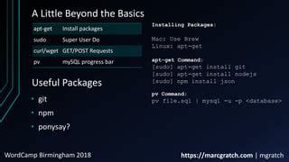 Using The Command Line Bash And WP CLI PPT