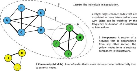 The Basic Components Of Social Network Structure Download Scientific Diagram
