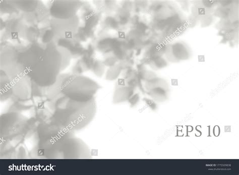 921 Tree Shadow Png Images Stock Photos Vectors Shutterstock