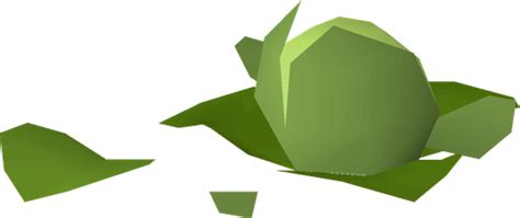 Cabbage Evidence Osrs Wiki