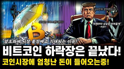 비트코인 하락장은 끝날것으로 보인다 대규모 신규자금 코인판에 유입중 비트코인 전망 호재 분석 Youtube