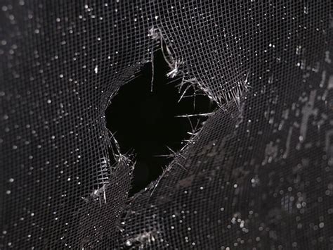 Shellshock Bug Could Undermine Millions Of Websites Truthdig