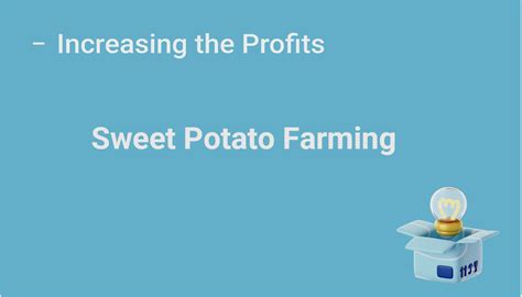 What Are The Key Strategies For More Profitable Sweet Potato Farming