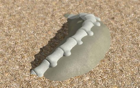 Dino Tail Bone Themed Playground Climber Commercial Playground