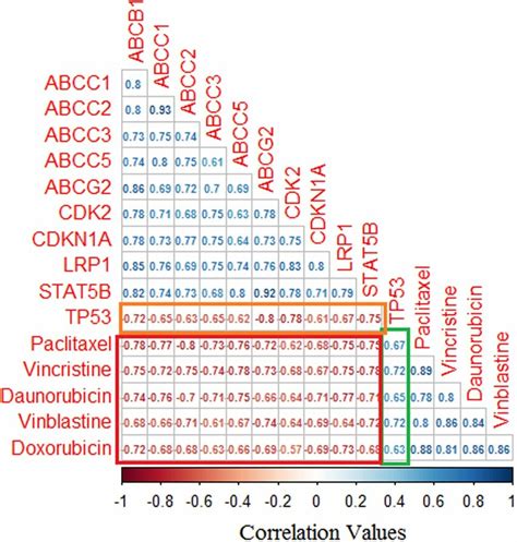 Correlation Between MDR Linked Gene Expression And The Efficacy Of Each Download Scientific