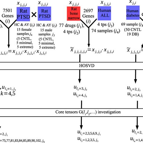 Schematics That Illustrate The Procedure Of Td Based Unsupervised Fe