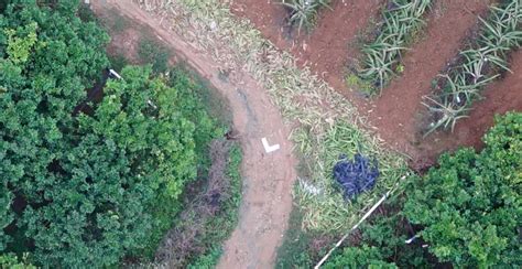 A Comprehensive Guide To Using Ground Control Points For Drone Surveying JOUAV
