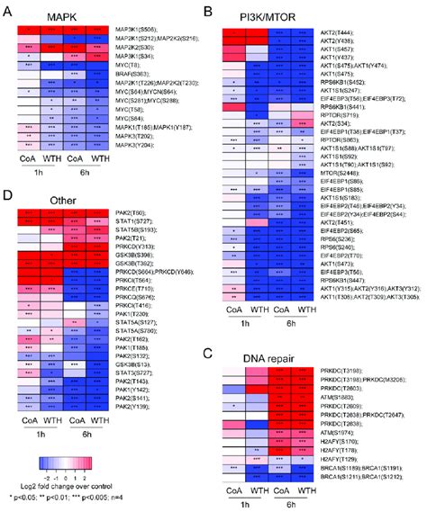 The Withanolides Induce Pleiotropic Effects In The Phosphorylation Of Download Scientific