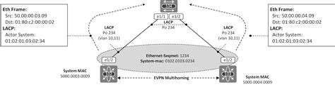 The Network Times Evpn Esi Multihoming Part I Evpn Ethernet Segment Es