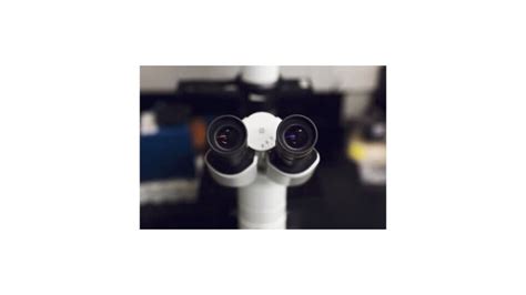 Why You Should Implement A Ux Research System Ux Republic