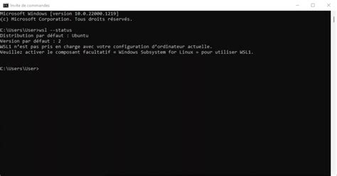 Installer Une Application Linux Gui Sur Windows Lecoindunet