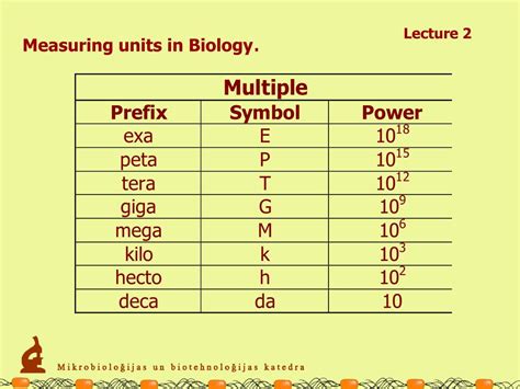 PPT STRUCTURE OF ATOMS PERIODIC TABLE OF ELEMENTS PowerPoint Presentation ID 3715287