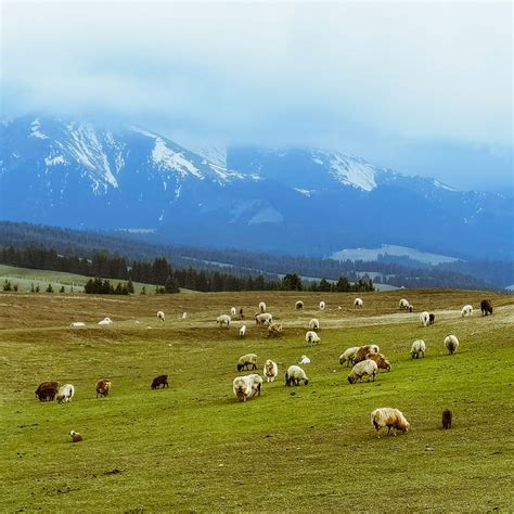 South Pasture Hiking Paths Travel Advice And Key Sights