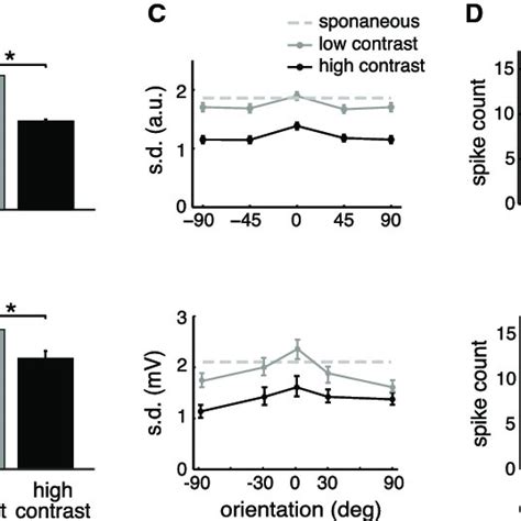 Color Online Multi Layered Neural Network Driven By Sinusoidal Signal