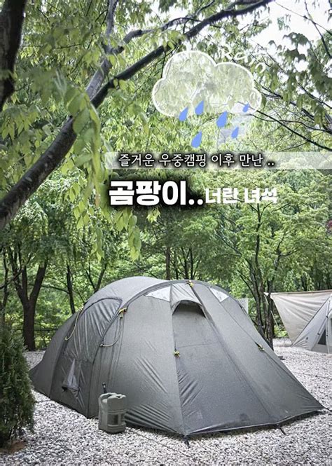 우중캠핑의 최후 곰팡이와 마주하다 곰팡이제거 텐트곰팡이 우중캠핑 우중캠최후 곰팡이 텐트관리 Youtube