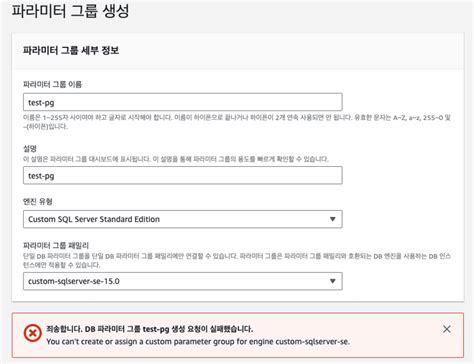 파라미터 그룹을 생성할 때 발생하는 You Cant Create Or Assign A Custom Parameter Group For Engine Custom