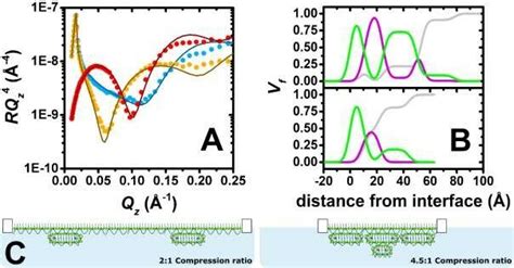 a neutron reflectivity profiles of a pll sds film compressed by a
